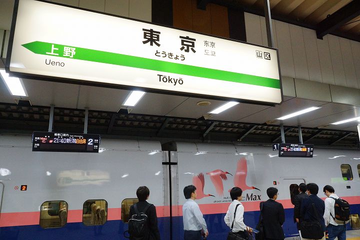 東京駅 東北･上越･北陸新幹線ホーム（H5/E6/E5/E7/E4）